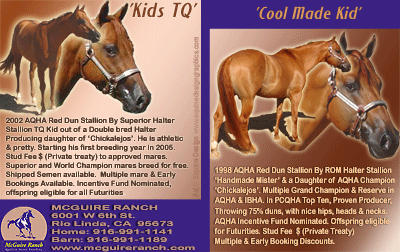 Equine Design Custom Graphics, logos, portraits, ad layout, services ...